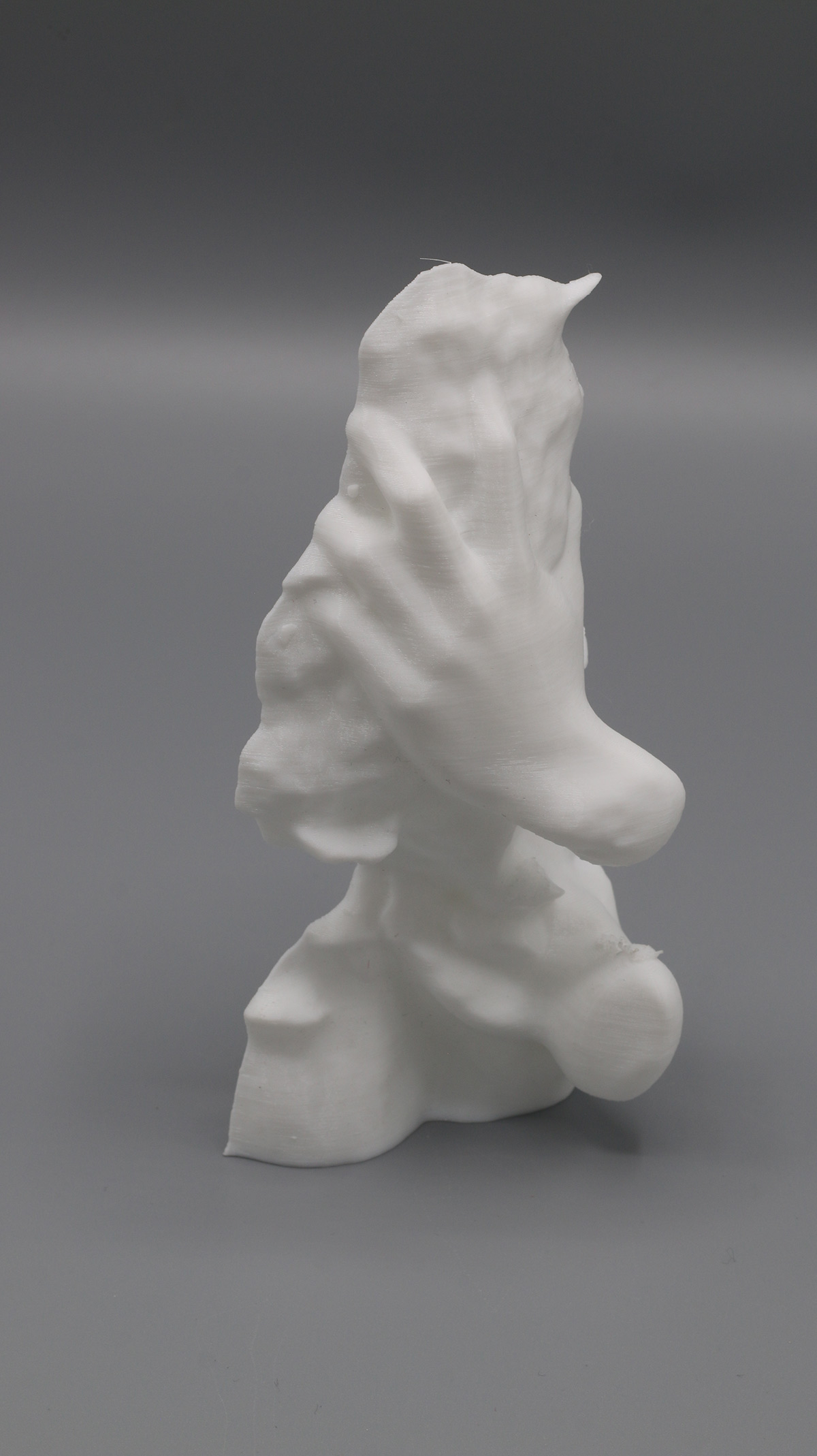 "Handwurzel - 3D Druck" | Jakob Auer.com